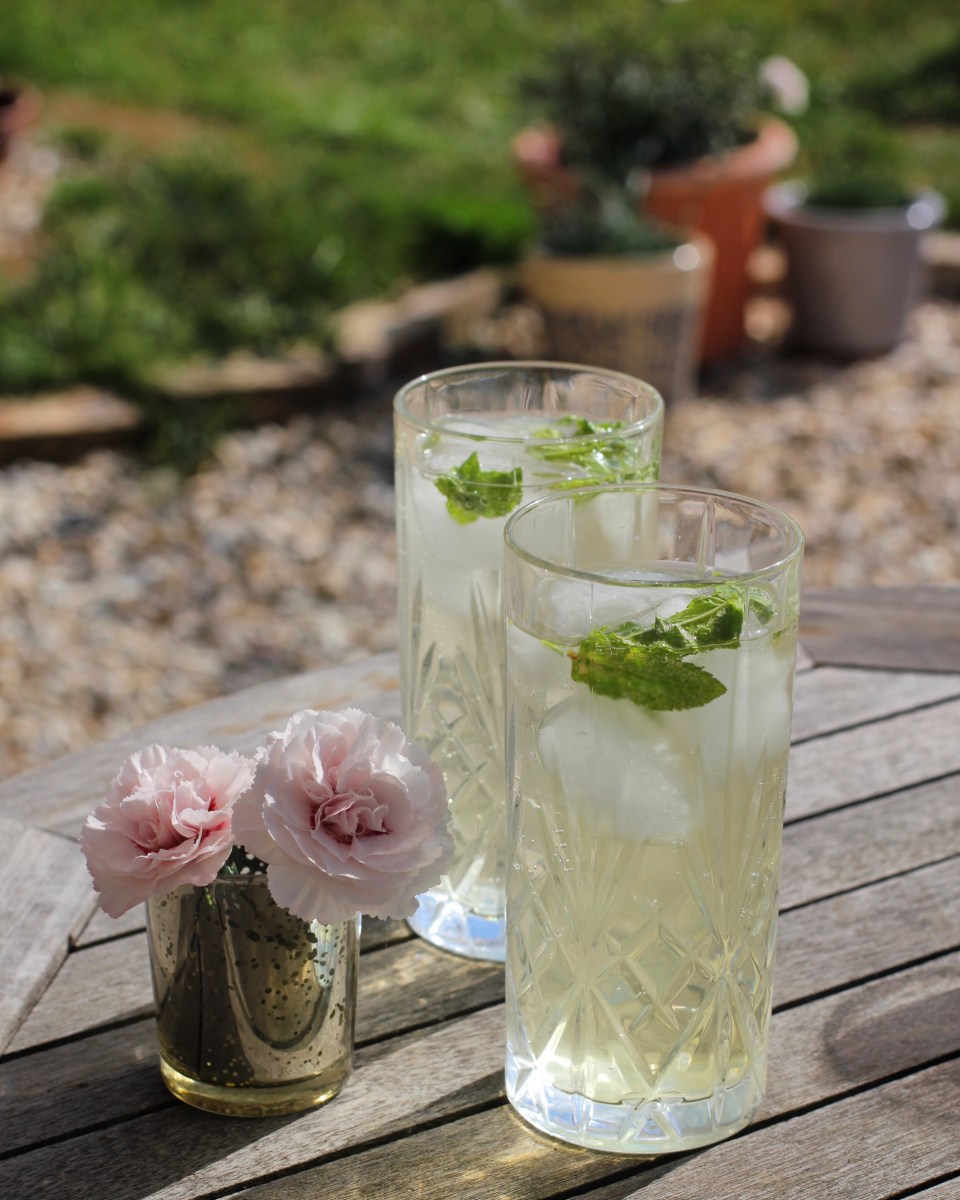 Elderflower, prosecco & mint cocktail recipe – Abi in the Garden